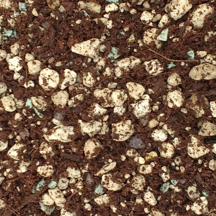 Lithops and Mesembs Soil Mix (1 liter) - Sunnyplants.com