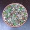Lithops Collection - Living Stones - Sunnyplants.com